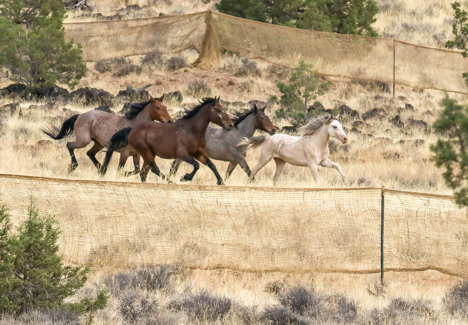 Learn more about “Roundup Reports (2025)"